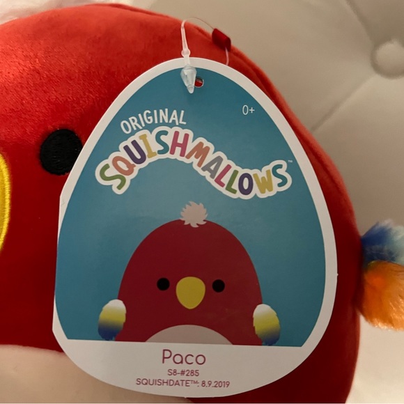 Squishmallows | Toys | Paco The Squishmallow | Poshmark